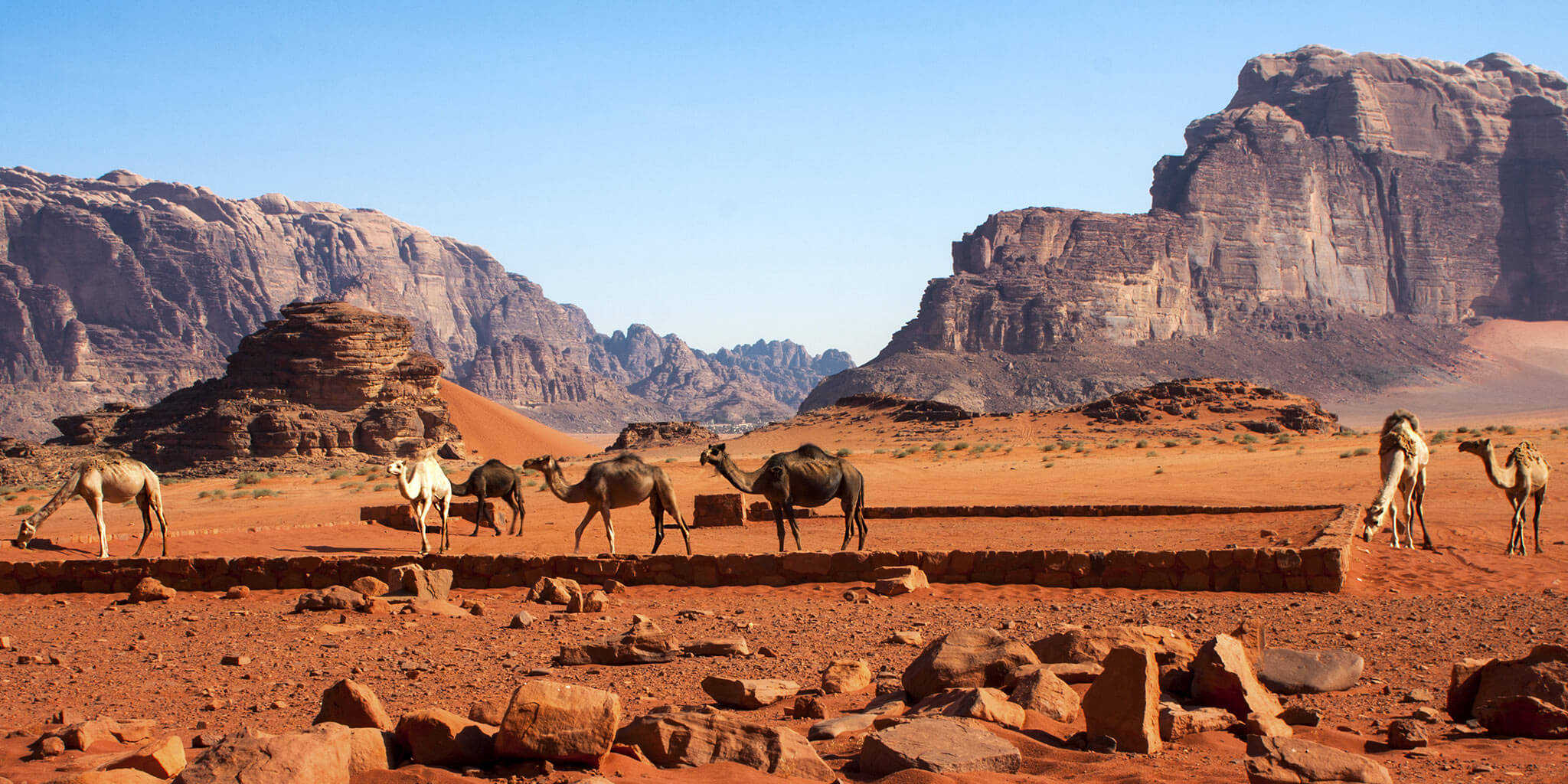 Sprachreisen Jordanien – Arabisch Sprachkurse in Jordanien | ESL